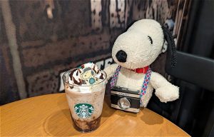 PEANUTS™ ＋STARBUCKS™ 第3弾コラボ！ | COLUMN | SNOOPY.co.jp：日本のスヌーピー公式サイト